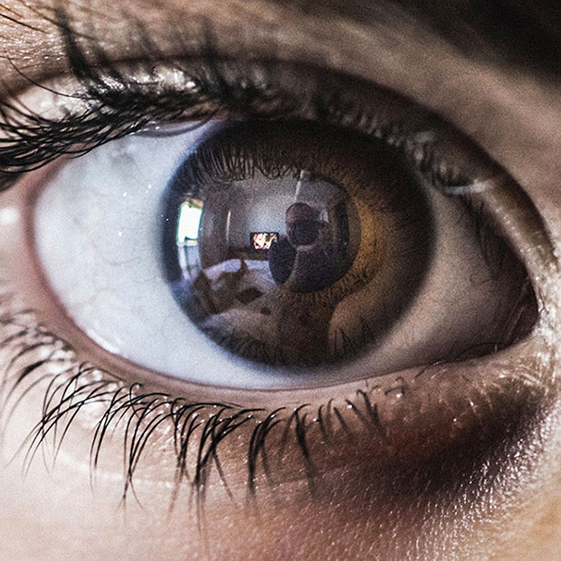 The Inner Workings of the Eye – Noblesville IN | Noble Eyes